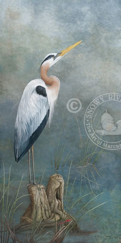 The Art Of Marcus C Thomas Originals