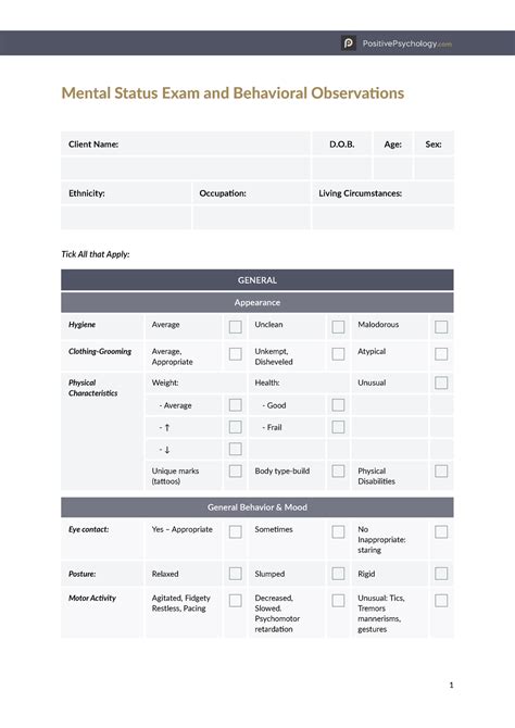 mental status exam and behavioral observations o age sex ethnicity