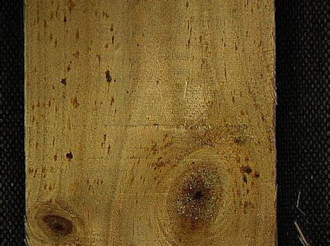 Wood Defect 2 Object Detection Dataset By Wooddefects