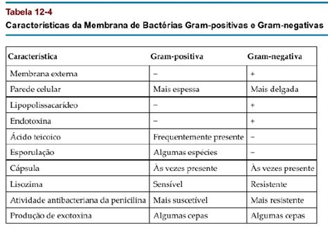 Tabela De Tipos De Bacterias