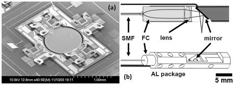 Mems Actuators For Optical Microendoscopy