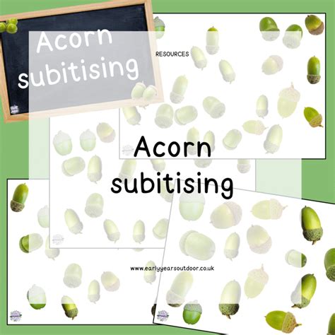 Acorn Subitising Early Years Outdoor