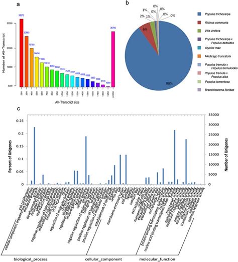 Dynamic Transcriptomic Analysis Of The Early Response Of Female Flowers