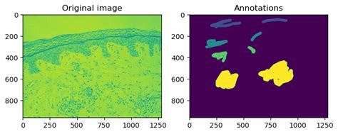 Using Random Forests For Pixel Classification Fabrizio Musacchio