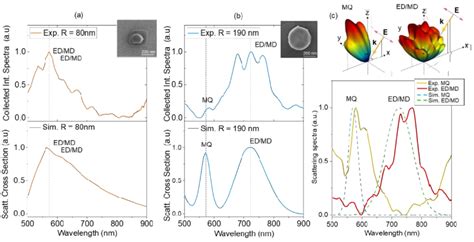a upper panel dark field signal obtained by integrating all the