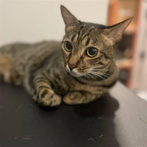 Aifay Fay C Threads Say More