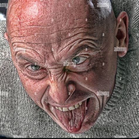 Stephen Hall Shapes Inc