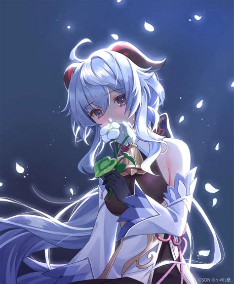 Linux初识:基本指令 Csdn博客 Linux初识:基本指令 Csdn博客