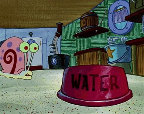 Gary The Snail Gary  Gary The Snail Gary Gary Water Discover