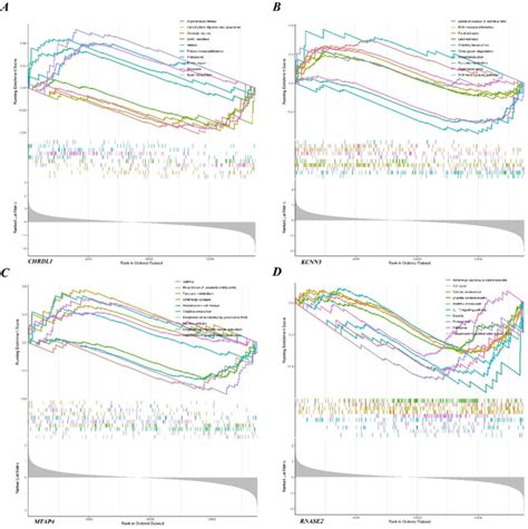 The Results Of Ssgsea Enrichment Analysis A The Results Of Chrdl1 B Download Scientific