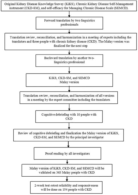 Translation And Validation Process Download Scientific Diagram