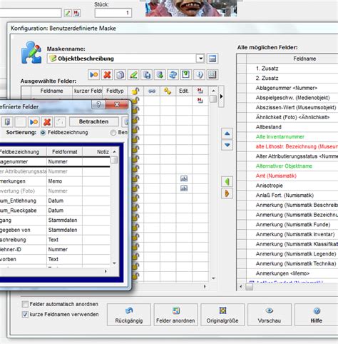 Customisation Editor In Imdasarchivis Pro Download Scientific Diagram