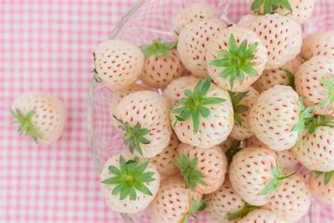 White Strawberries All You Need To Know