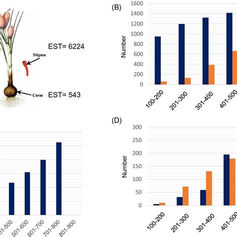 of expressed sequence tags ests used cpg islands identified and
