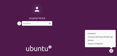Install Cinnamon Desktop On Ubuntu Or Ubuntu