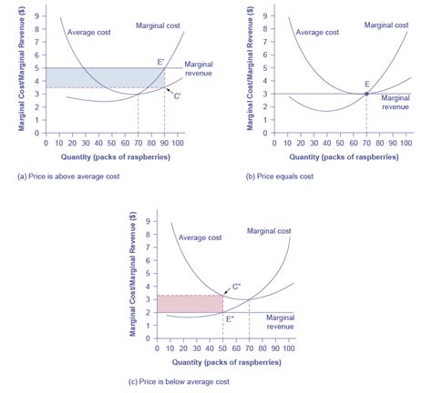 How Perfectly Competitive Firms Make Output Decisions · Economics