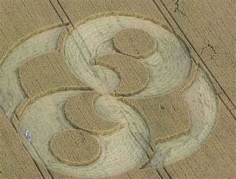 INDIA Crop Circles