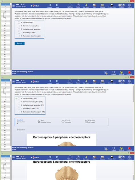 Physio Respiratory Pdf