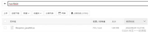 SpringBoot使用OpenCV开发和部署 springboot opencv CSDN博客