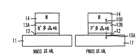 Semiconductor Device With Gate Structure And Method For Fabricating The