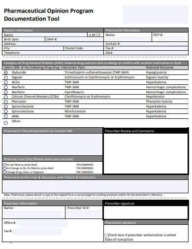 free 10 program documentation samples and templates in ms word pdf