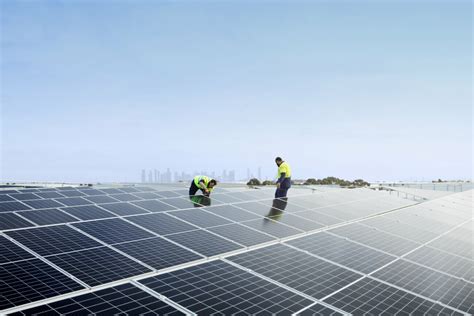 Carbon Offset Energy Arcline By Racv Arcline By Racv