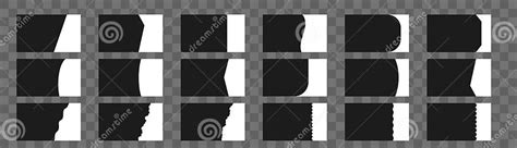 Separator Header For Web Page Design Flat Vector Illustration Set Of