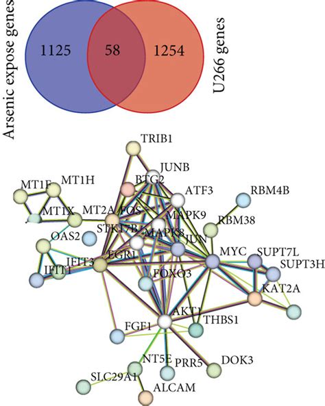 Identification Of Previously Known Arsenic Exposed Gene Association Download Scientific Diagram