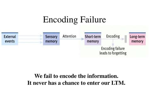 Write Down The Names Of The Seven Dwarves Ppt Download