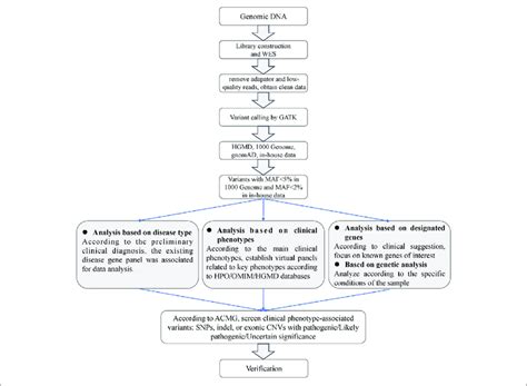 Analysis Flowchart Of The Whole Exome Sequencing Data Download Scientific Diagram