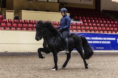 Mette Mannseth Clinic Blev Välbesökt Ridsport Island