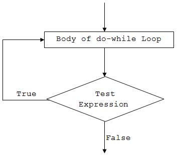 C While And Do While Loop With Examples