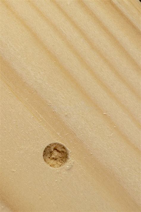 Metal Drill Bit And Pine Wood Board During Operation Stock Photo Image Of Macro Board