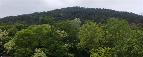 Гостевой дом в Архипо Осиповке Приглашаем Вас провести комфортный отдых в Краснодарском крае с