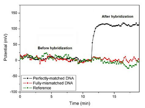 Dna Hybridization Detection By Means Of The Eisoi Sensor In Download Scientific Diagram
