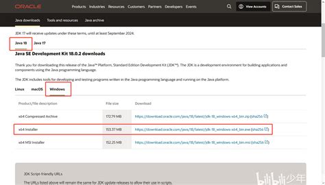 Win10安装jdk18详细教程 哔哩哔哩