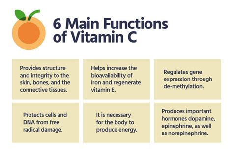 The Role Of Vitamin C In Immunity — Core Med Science