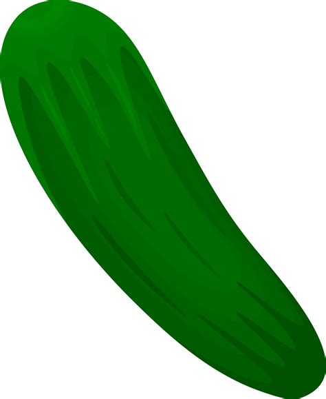 Cucumber Illustration Free PNG PNG Cucumber Illustration Free PNG PNG