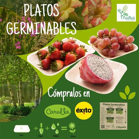 Platos Germinables De Lifepack Plantpack By Lifepack