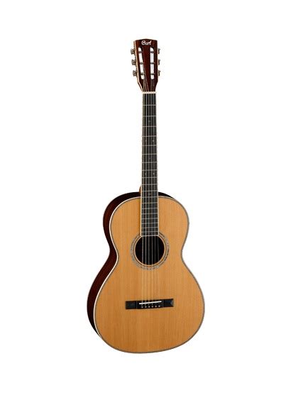 CORT PARLOR L900C CONCERT SIZE ACOUSTIC GUITAR – South Coast Music