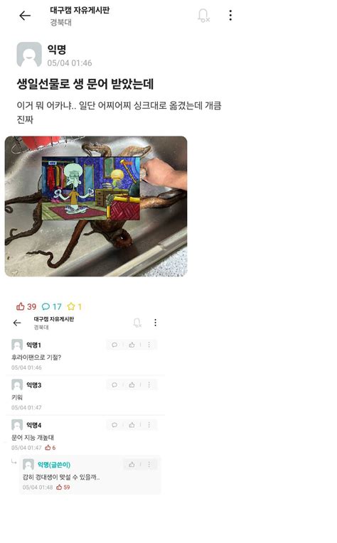 생문어를 선물로 받은 경북대생 인스티즈instiz 이슈 카테고리