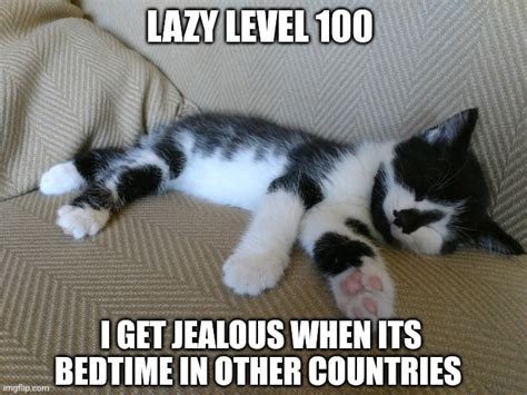 Lazy Kitten Memes Understanding Louies Cross Eyes Vet Visit Reveals