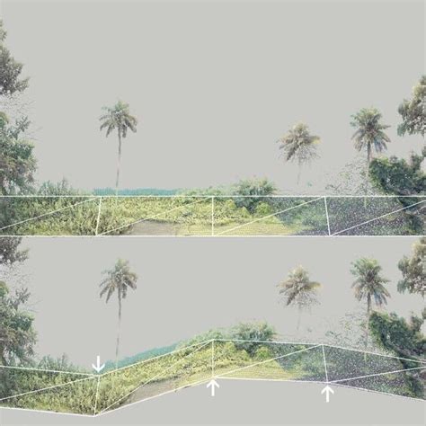 The Digital Transposition Of Segmented Points Grafts A Topographically
