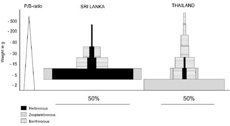 4 Comparison Of The Size The Biomass And The Trophic Structure Of The