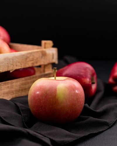 Carrot Multipurpose Ecommerce Tailwind Css Template