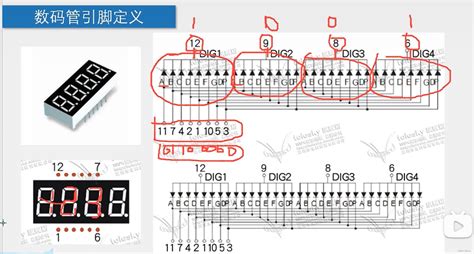 三、数码管 csdn博客