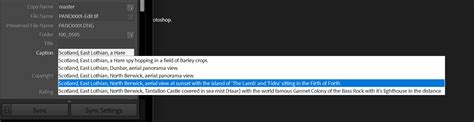 Captions Drop Down Adobe Community 14233541
