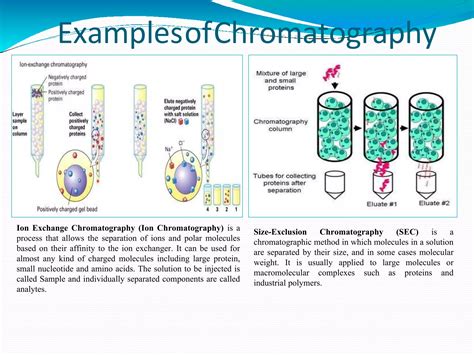 Classification Of Chromatography Pdf