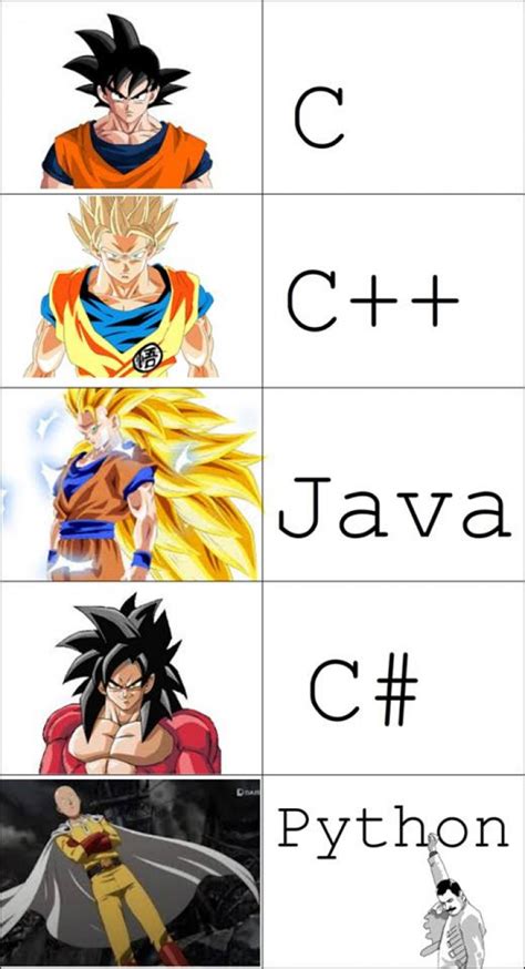 Different Programming Languages Meme