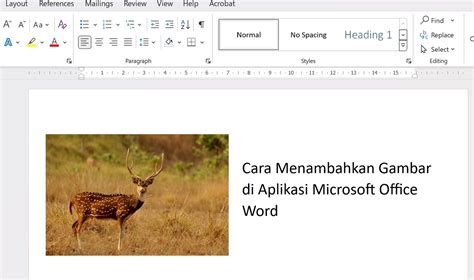 Cara Menambahkan Gambar Atau Foto Di Aplikasi Microsoft Office Word